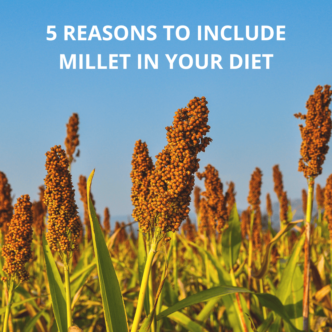5 Reasons Why You Should Include Millets in Your Diet - Millet Amma
